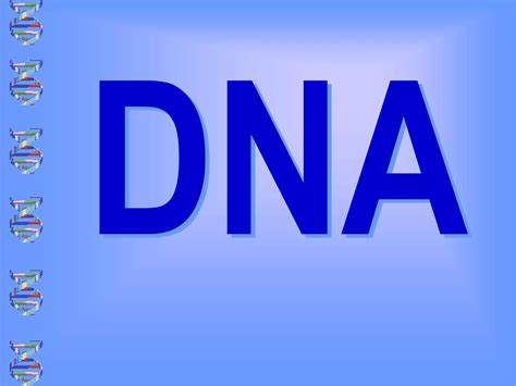 Dna Rna 101ppt