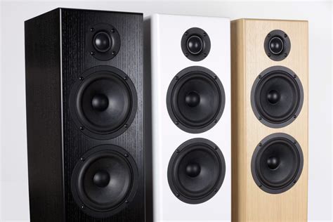 Totem Haut Parleurs Totem Bison Twin Tower Speakers Pair Magasin