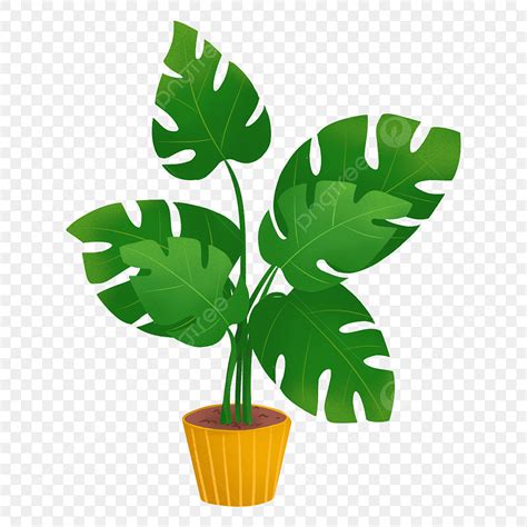 Planta En Maceta De Dibujos Animados Cactus De Dibujo