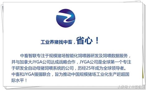 養殖場中如何避免才采精對種公豬的傷害？ 每日頭條