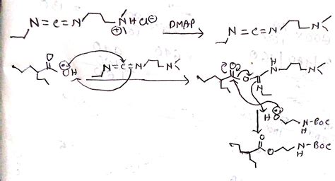 Solved Show The Mechanism And What Is The Purpose Of DMAP Course Hero