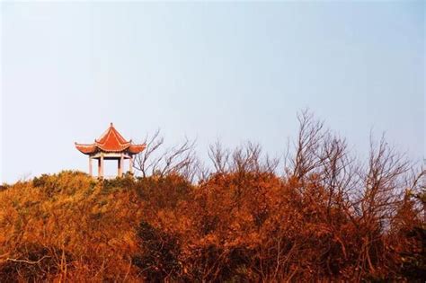 心理咨询师实录“静态管理”下佯装镇定的生活 知乎