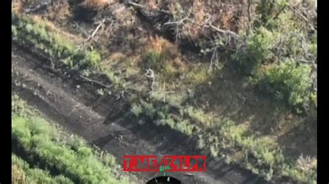Бесстрашные парни из 4 ОМСБр для кого я так же печатаю и собираю