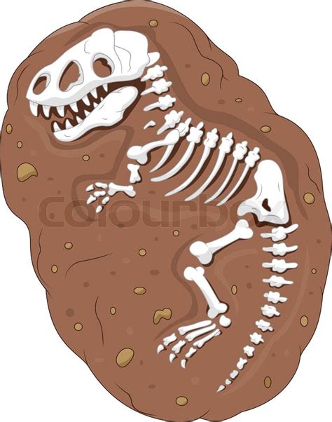 Cartoon Tyrannosaurus Rex Fossil Vektorgrafik Colourbox