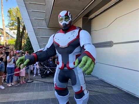Hulk Costumed Characters Wiki Fandom