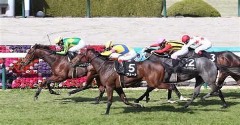 【京都新聞杯の注目点】過去にキズナとロジャーバローズがダービー馬に！東上最終便を制すのは？ サンスポzbat