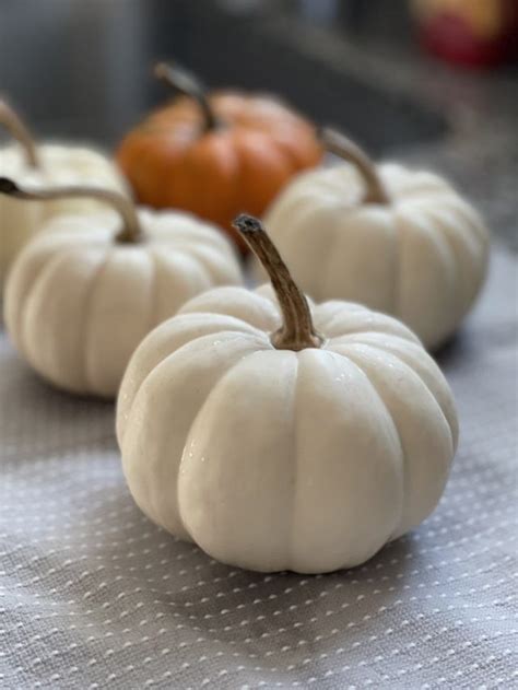 Preserving Pumpkins To Last Longer White Lilac Farmhouse