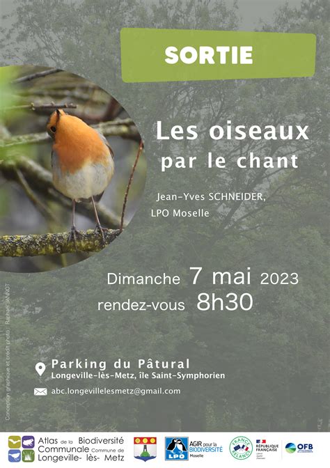 Les oiseaux par le chant Plateforme pour la Biodiversité du Grand Est