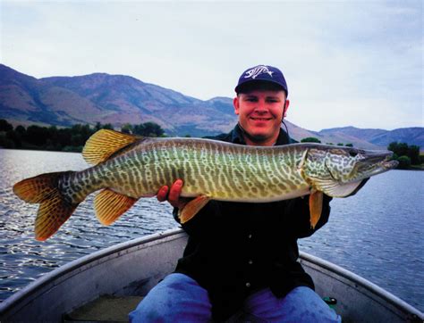 Pineview Reservoir Photos
