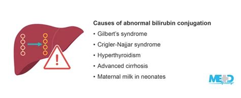 Bilirubin Conjugation