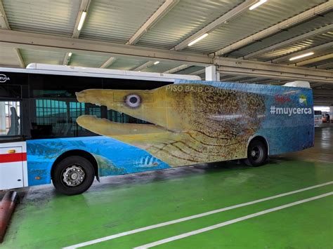 Autobuses Eurorot