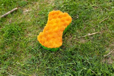 Premium Photo A Yellow Sponge Sits On The Grass With The Word Tuff On It