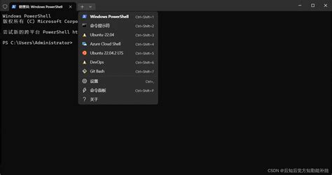 Windows10使用wsl及遇到的问题解决wsl 线程的并行有问题 Csdn博客