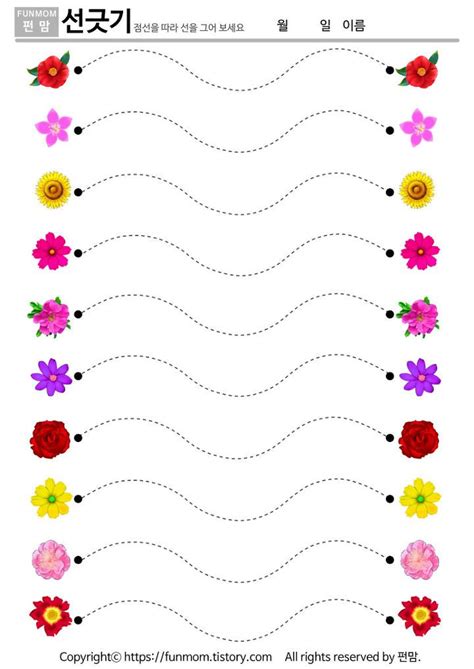 부드러운 곡선 따라그리기 무료 프린트 학습 활동 워크시트