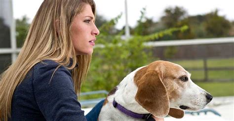 Titer Testing Your Dog Are You Wasting Your Money Dogs Naturally