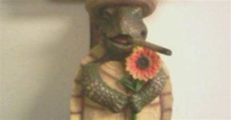 I Saw This Turtle On The Way Out Of A Hash Bar Imgur