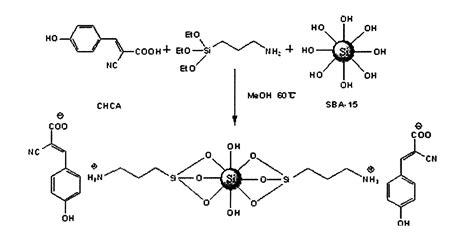 Synthesis Method Of Alpha Cyan 4 Hydroxycinnamic Acids Modified Silicon