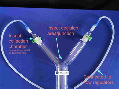 Y Tube Insect Olfactometer For Ticks And Mites In Delhi Bhubaneshwar