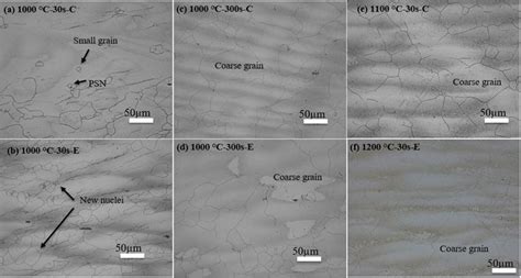 Optical Microstructures At The Center Area Of The Columnar C And