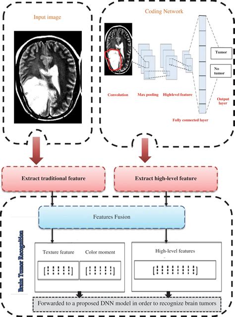 CSSE Free Full Text An Improved Deep Structure For Accurately Brain