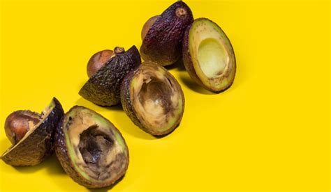 How To Tell If An Avocado Is Bad Farmhouse Guide