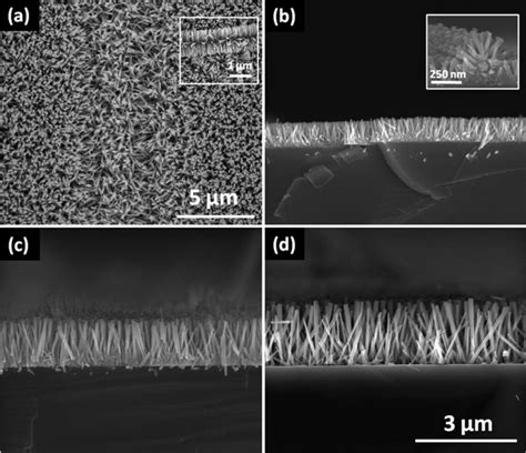All Solution Processed Nanowire Enhanced Ultraviolet Photodetectors