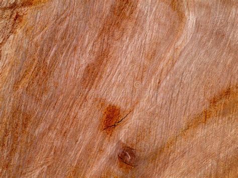 Texture Of Eucalyptus Wood Background Stock Image Image Of Material