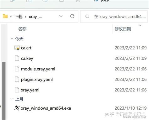 xray工具保姆级的安装与使用教程 知乎