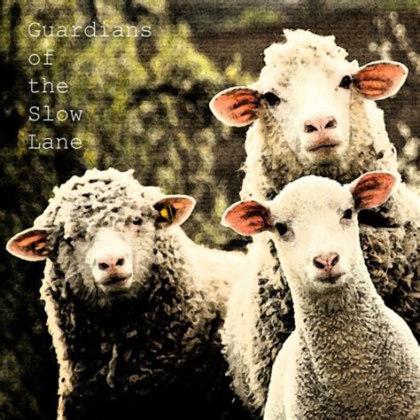 Stream Naked Emperors Redux By Guardians Of The Slow Lane