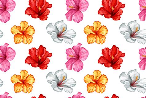 Vektor Daun Tropis Hibiscus Pola Mulus Ilustrasi Stok Unduh Gambar