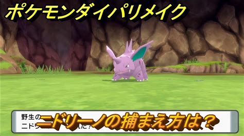 ポケモンダイパリメイク ニドリーノの捕まえ方は？出現場所は？ 最新版【ブリリアントダイヤモンド・シャイニングパール】 ポケモン関連情報のまとめ動画