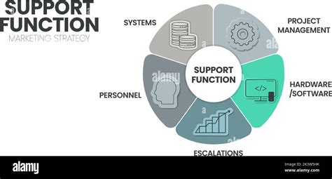 support function marketing strategy infographic template has 5 steps to