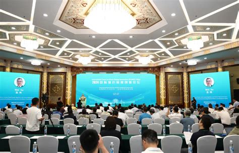 中国科学院北京纳米能源与系统研究所