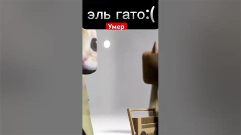 Эль Гато легенда:) Но жалко что умер:( - YouTube