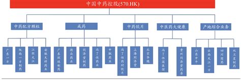 中国中药子公司布局 财富号 东方财富网