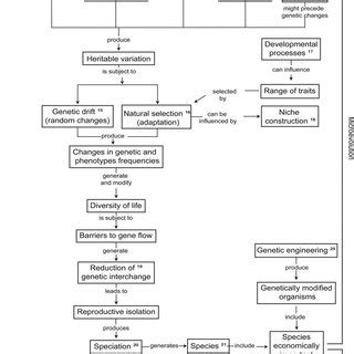 Evidence Of Evolution Concept Map Map Of Rose Bowl