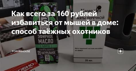 Как всего за 160 рублей избавиться от мышей в доме способ таёжных охотников Forumhouse Дзен