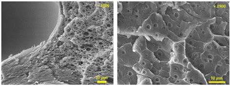 Solid State Surface Patterning On Polymer Using The Microcellular