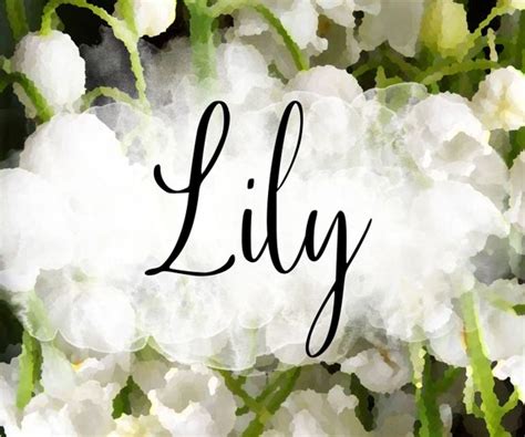 Lily Name Fonts