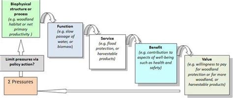 The Ecosystem Service Cascade Framework Adapted From Haines Young And