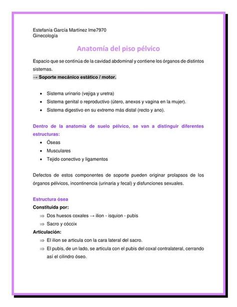 Anatomía Del Piso Pélvico Estefania Garcia Martinez Udocz