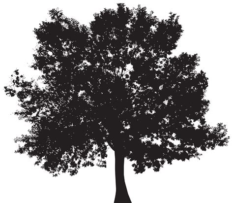 Oak Silhouette Tree Clip Art Tree Silhouette Png Clip Art Png My Xxx Hot Girl