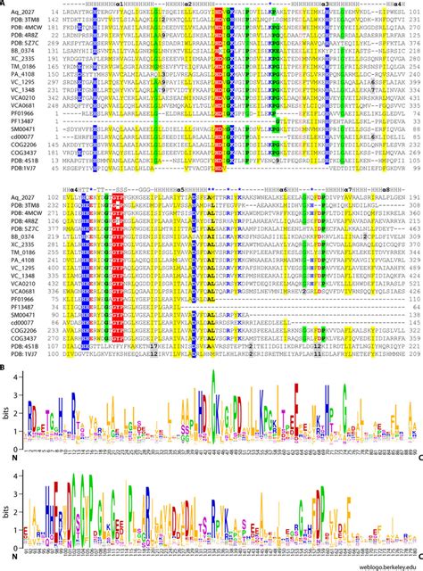 Structure Based Sequence Alignment And Sequence Logo Of The Hd Gyp