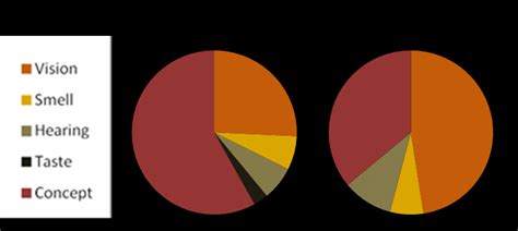 Use Of Senses And Concepts On The Notations Coded As Positive Or