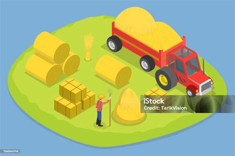 Set Vektor Datar Isometrik 3d Dari Tumpukan Jerami Dan Jerami Ilustrasi