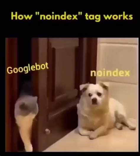 Muhammad Sohaib On Linkedin Seo Seomemes Digitalamarketing Letsconnect