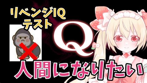 【steam版 Q Remastered】 Iqテストリベンジ ゴリラからの卒業⁈【雑談】 雑談 新人vtuber Qdidit