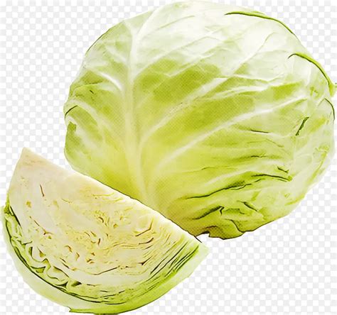 卷心菜 叶菜 蔬菜png图片素材下载图片编号6948982 Png素材网