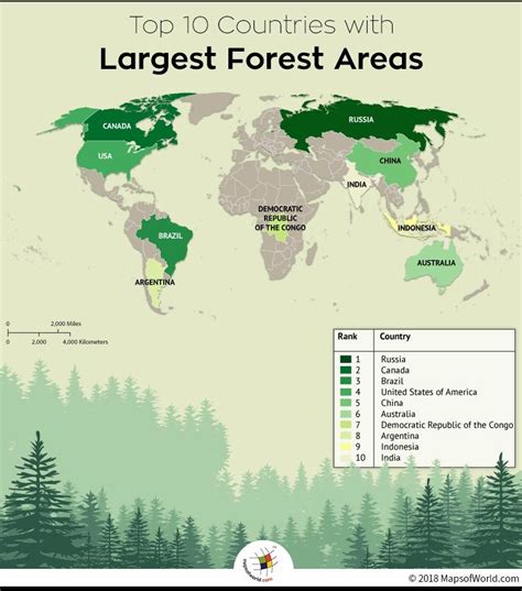 Top 10 Countries With The Largest Forest Area The Forest Cover Of The