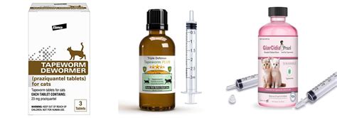 Top 5 Cat Tapeworm Medicines Reviews And Expert Guide Animalspick
